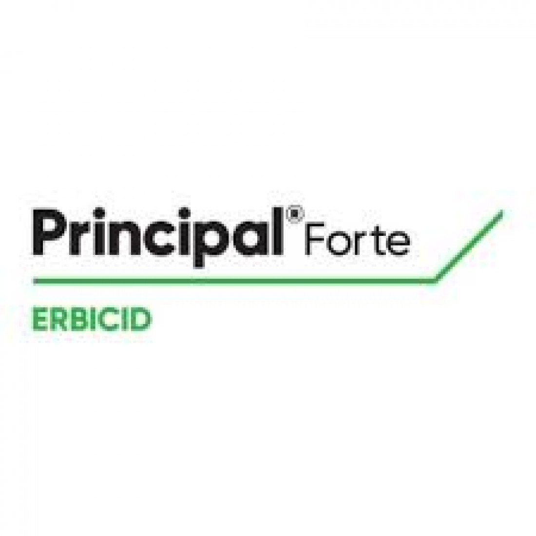 Principal forte
