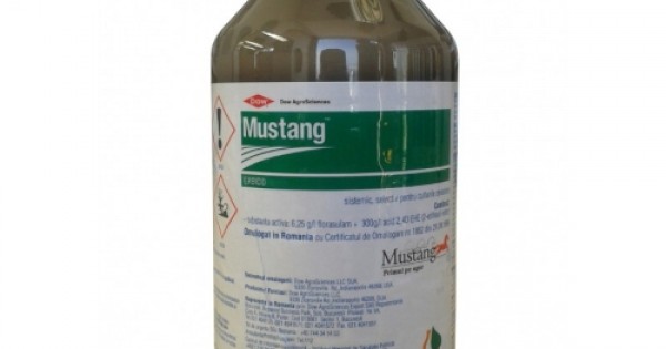 Mustang 1l